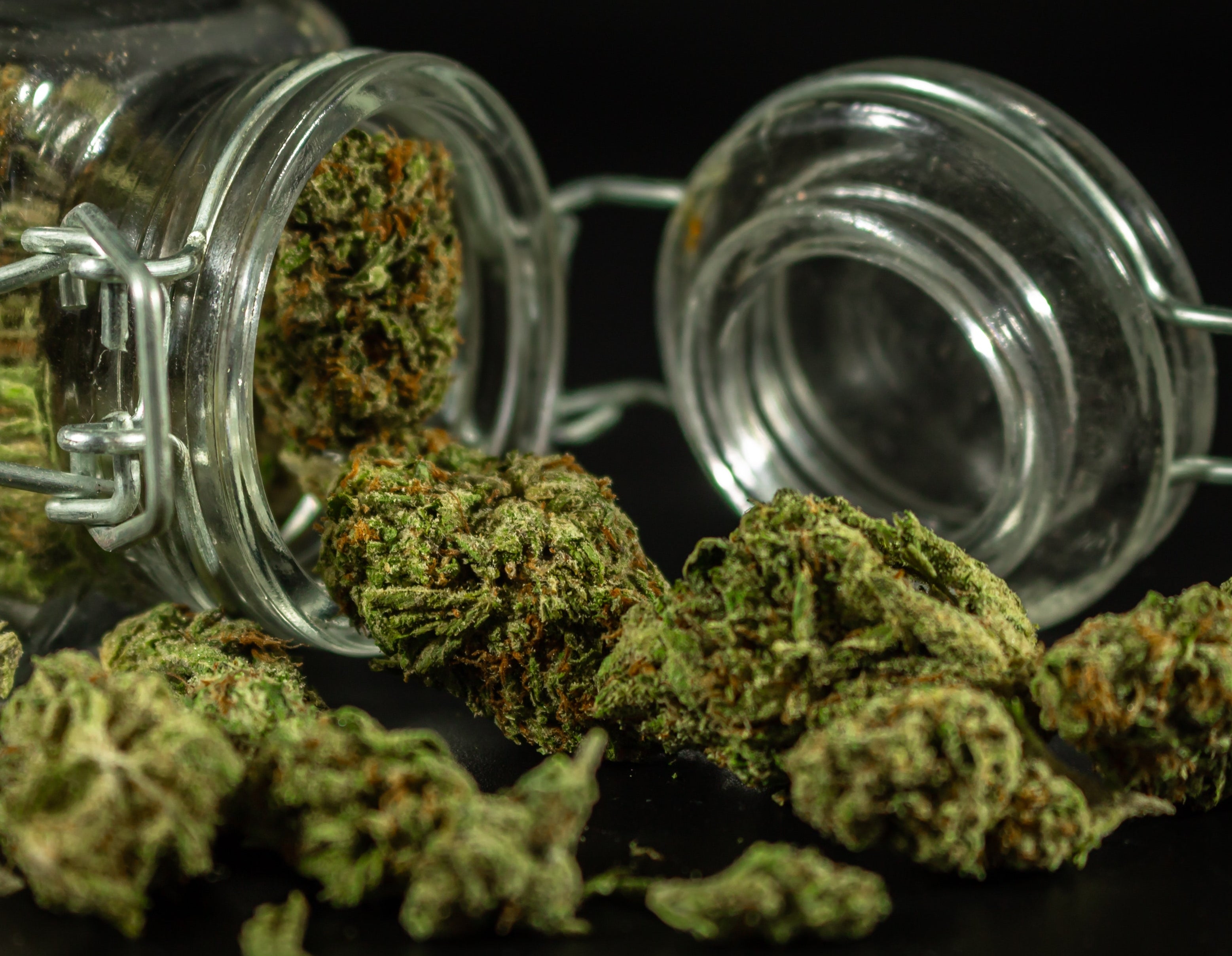 How Fresh is Fresh? The Shelf Life of Cannabis Products – Evergreen